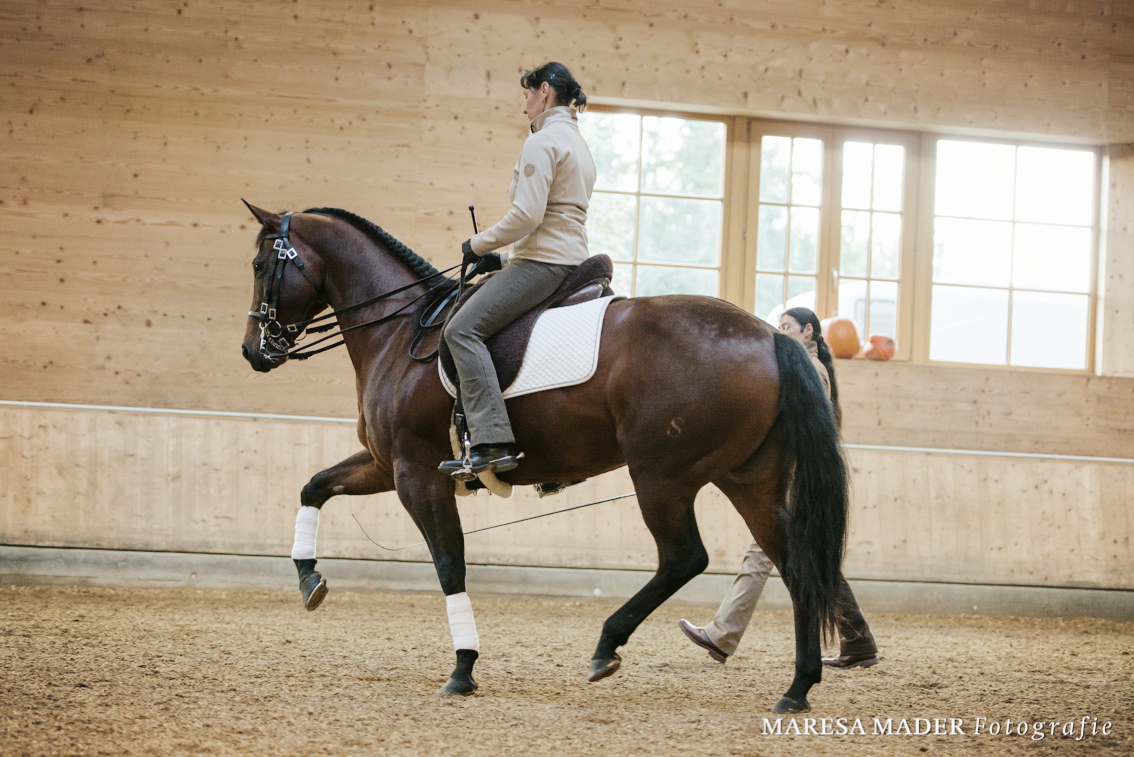 ANJA BERAN IN DEN NIEDERLANDEN - Anja Beran