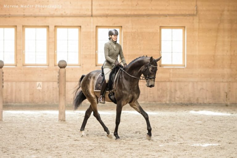 Anja Beran Internationales Ausbildungszentrum für klassische Reitkunst